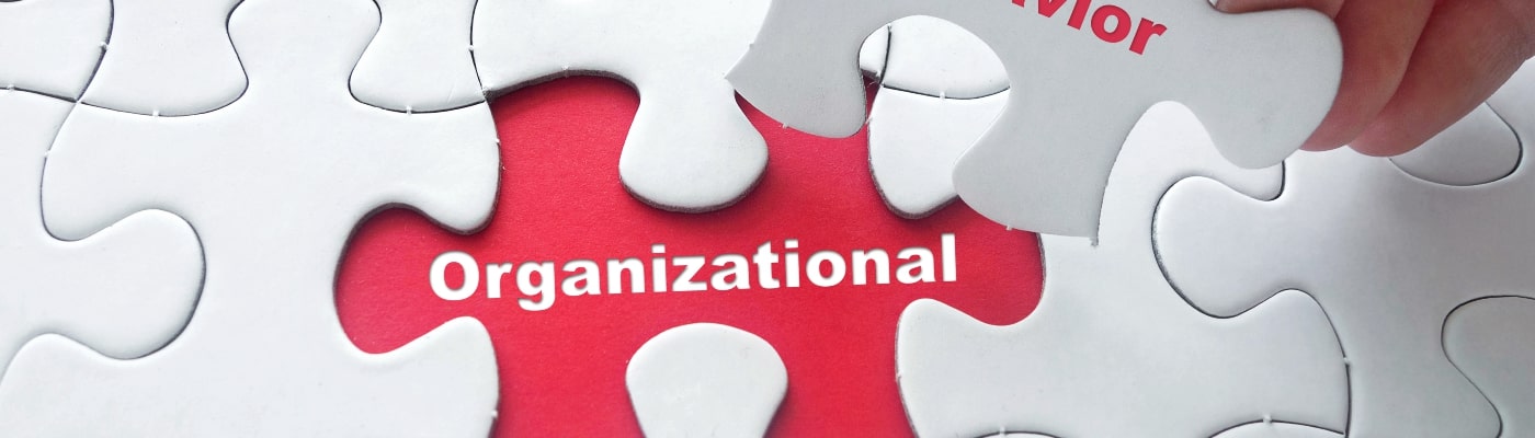 Hampton Roads Community Action Programs, Inc. Organizational Behavior ...